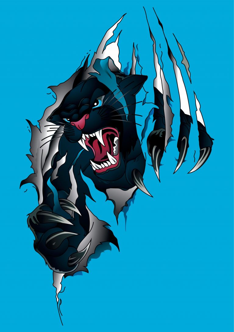 Superleague Netball – Northside Panthers | Northside Indoor Sport & Fitness